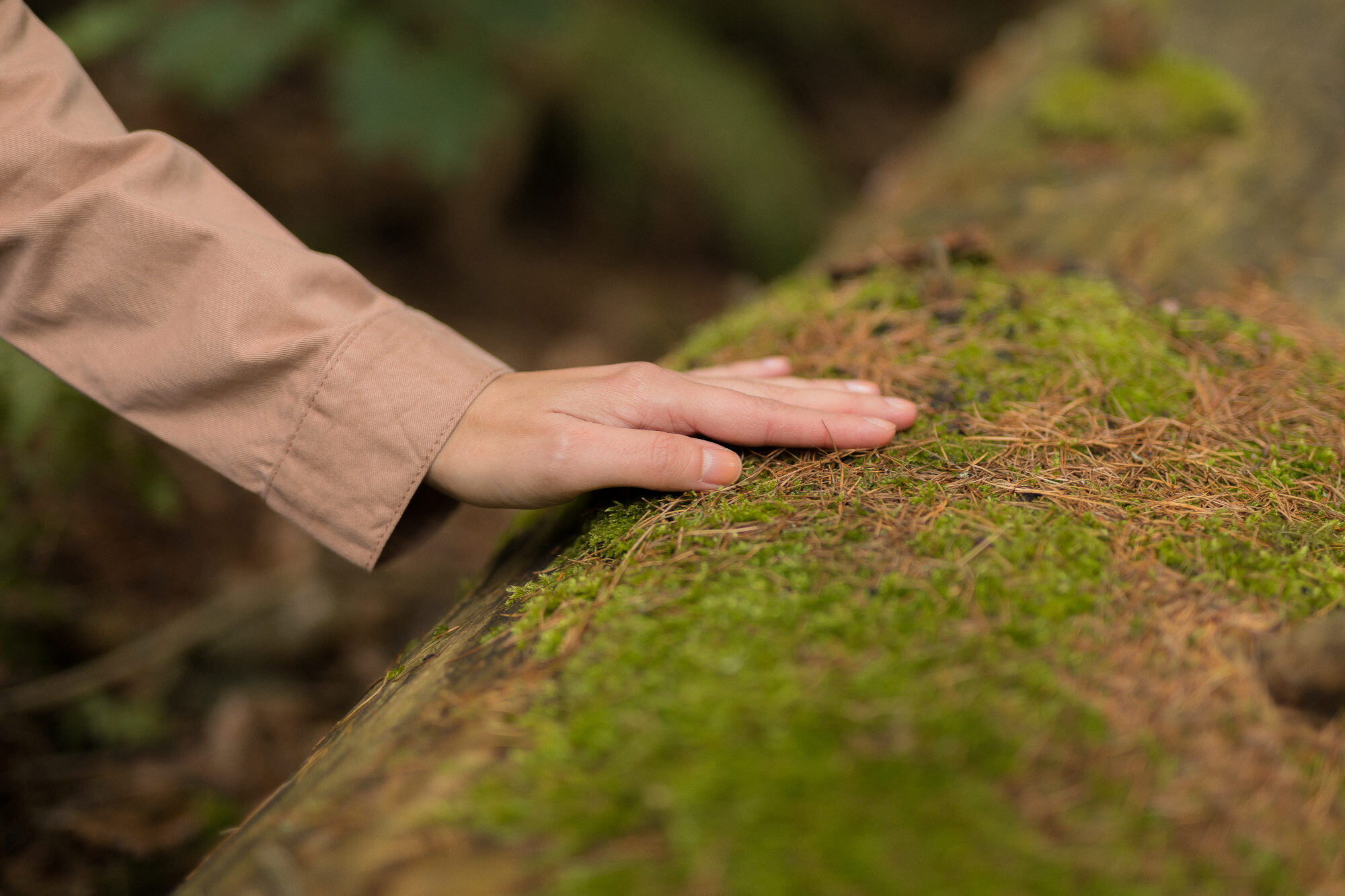 Luonan työntekijä Meri Tammenkoski motivoituu työn kehittämisestä ja ...
